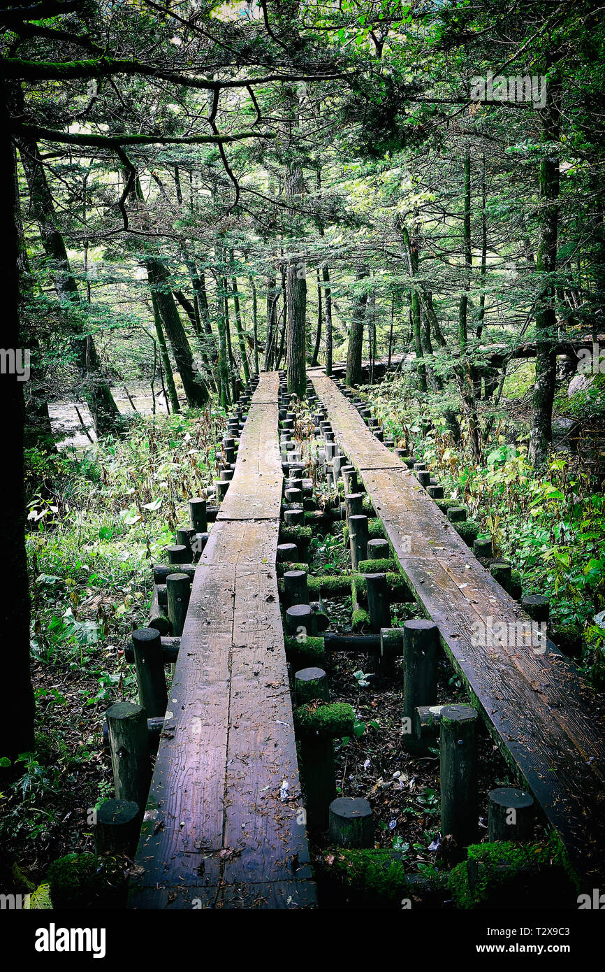 Japan romantic road hi-res stock photography and images - Alamy