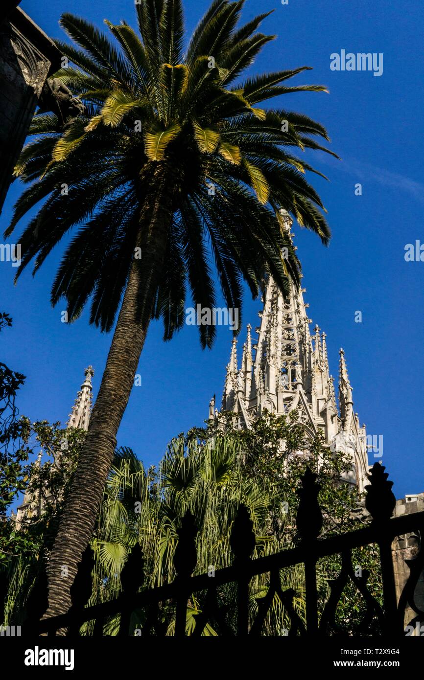 The Cathedral of the Holy Cross and Saint Eulalia (1420), Barcelona ...