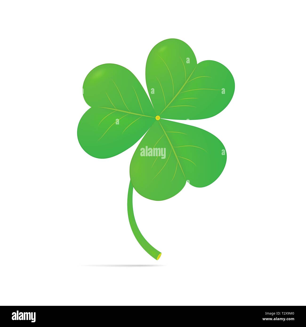 Green trefoil with a slight shadow. Isolated on a white background. The ...