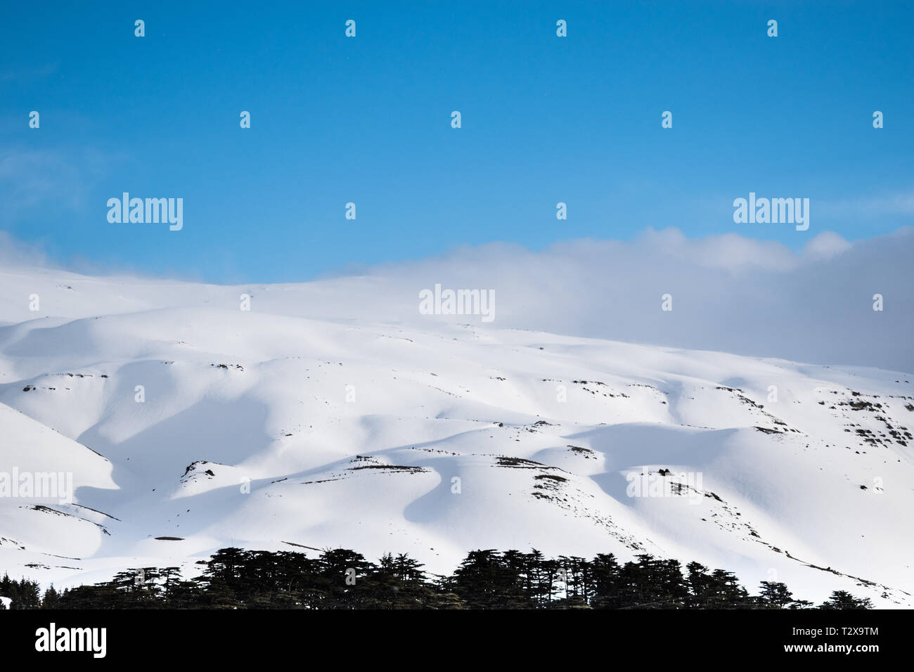 This is a capture for a landscape during winter in north Lebanon and ...