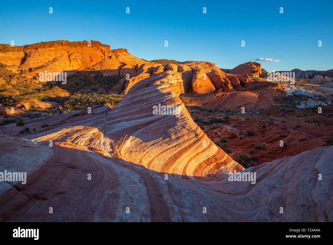 Valley of Fire State Park in Nevada, USA Stock Photo - Alamy