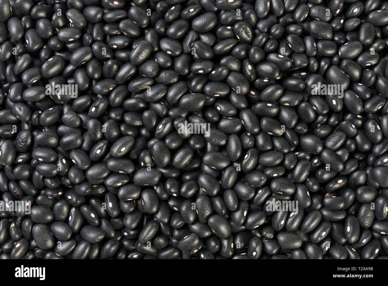 black bean texture background. nutrition. food ingredient Stock Photo - Alamy