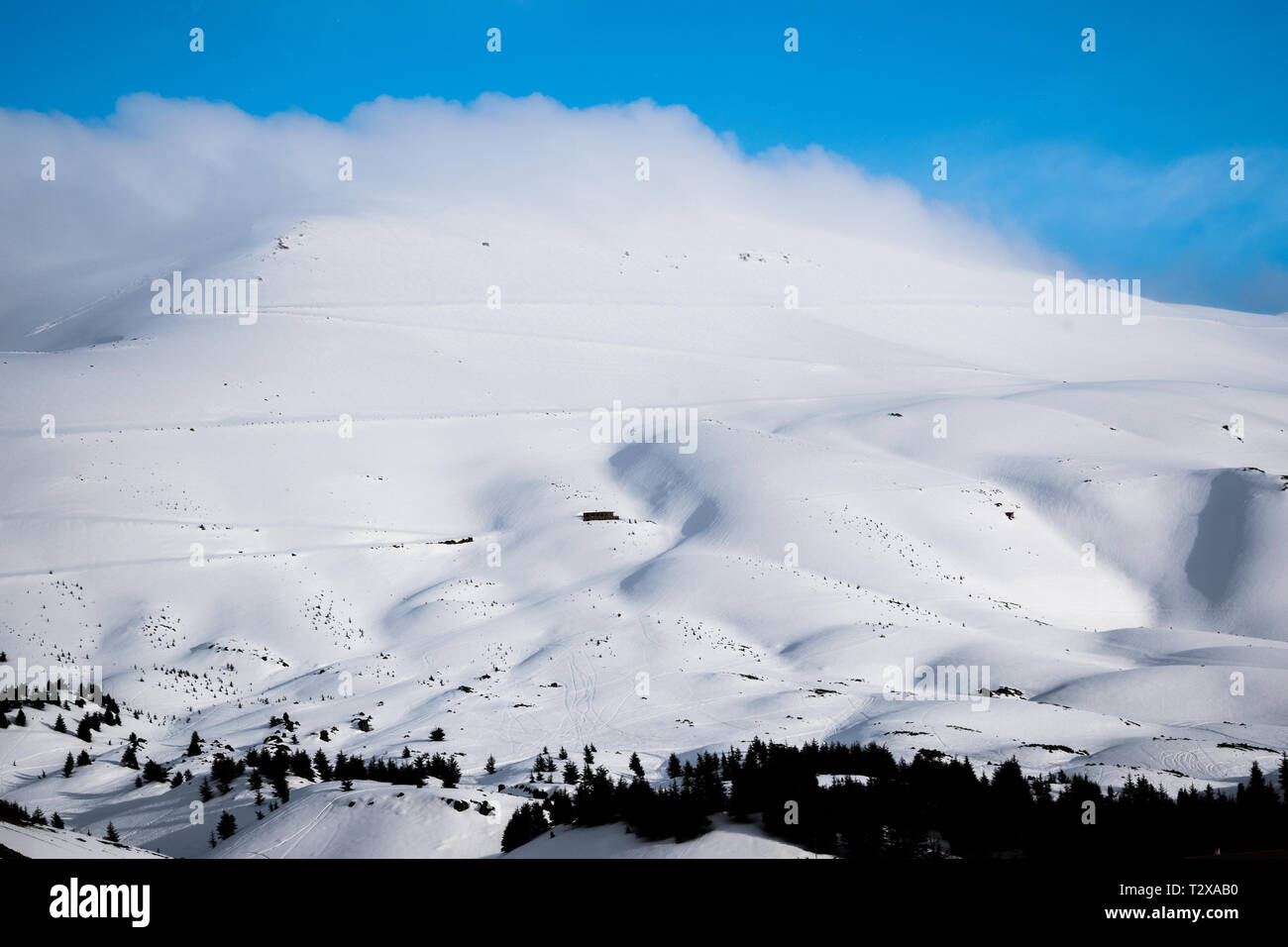 This is a capture for a landscape during winter in north Lebanon and ...