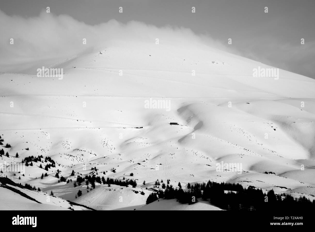 White background lebanon Black and White Stock Photos & Images - Alamy