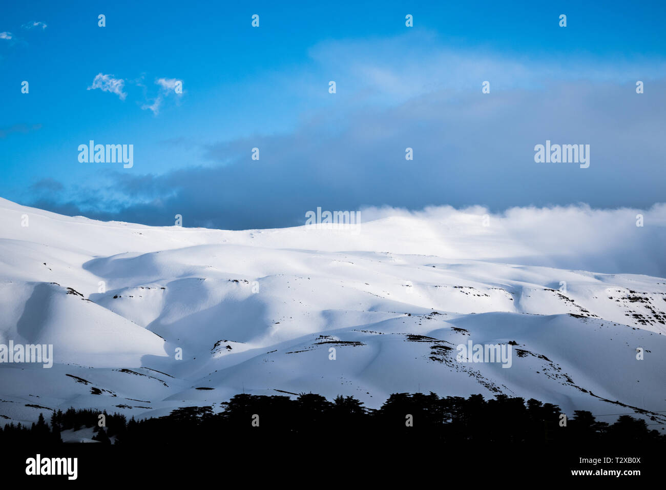 This is a capture for a landscape during winter in north Lebanon and ...