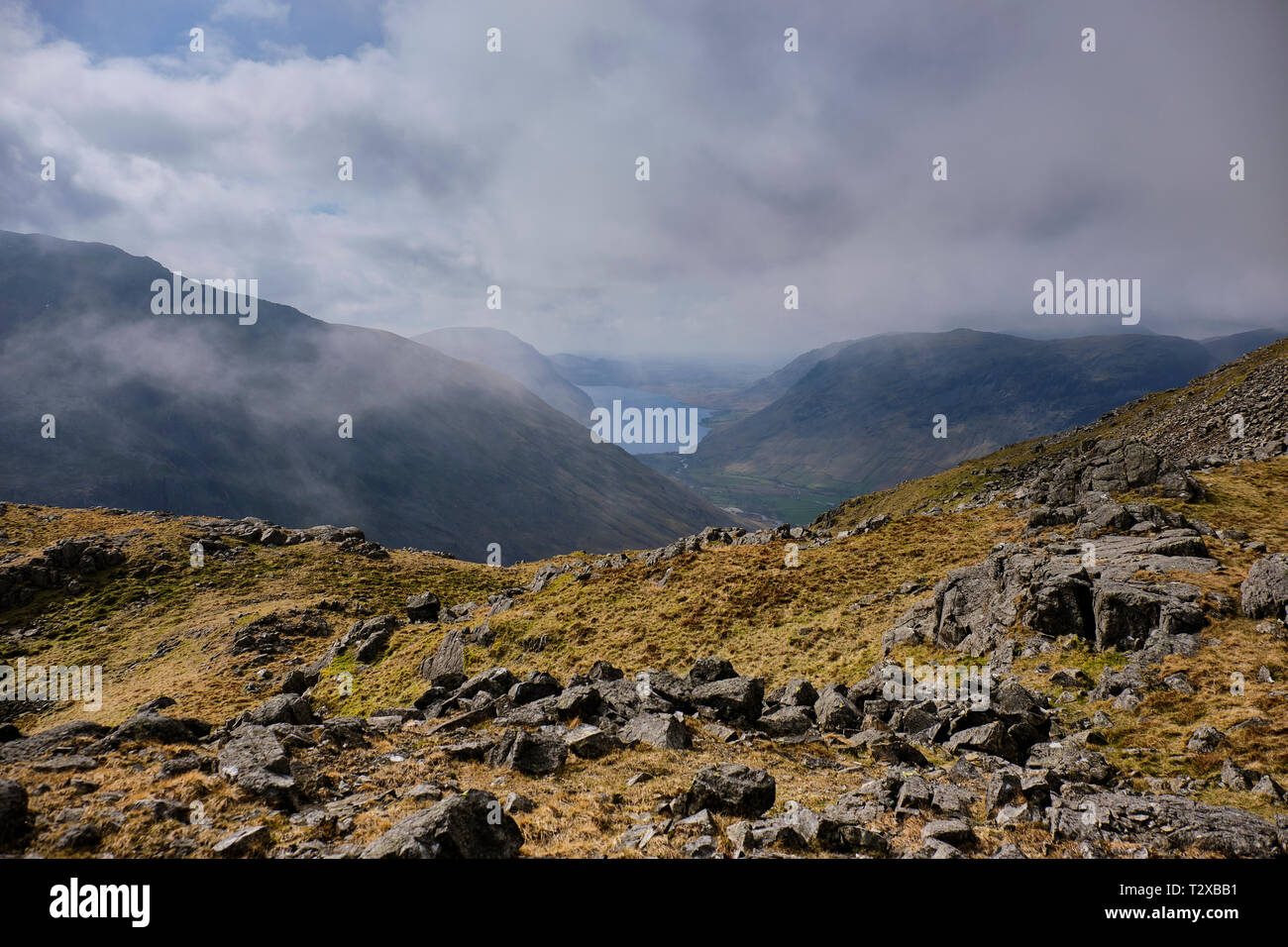 Sty head hi-res stock photography and images - Alamy