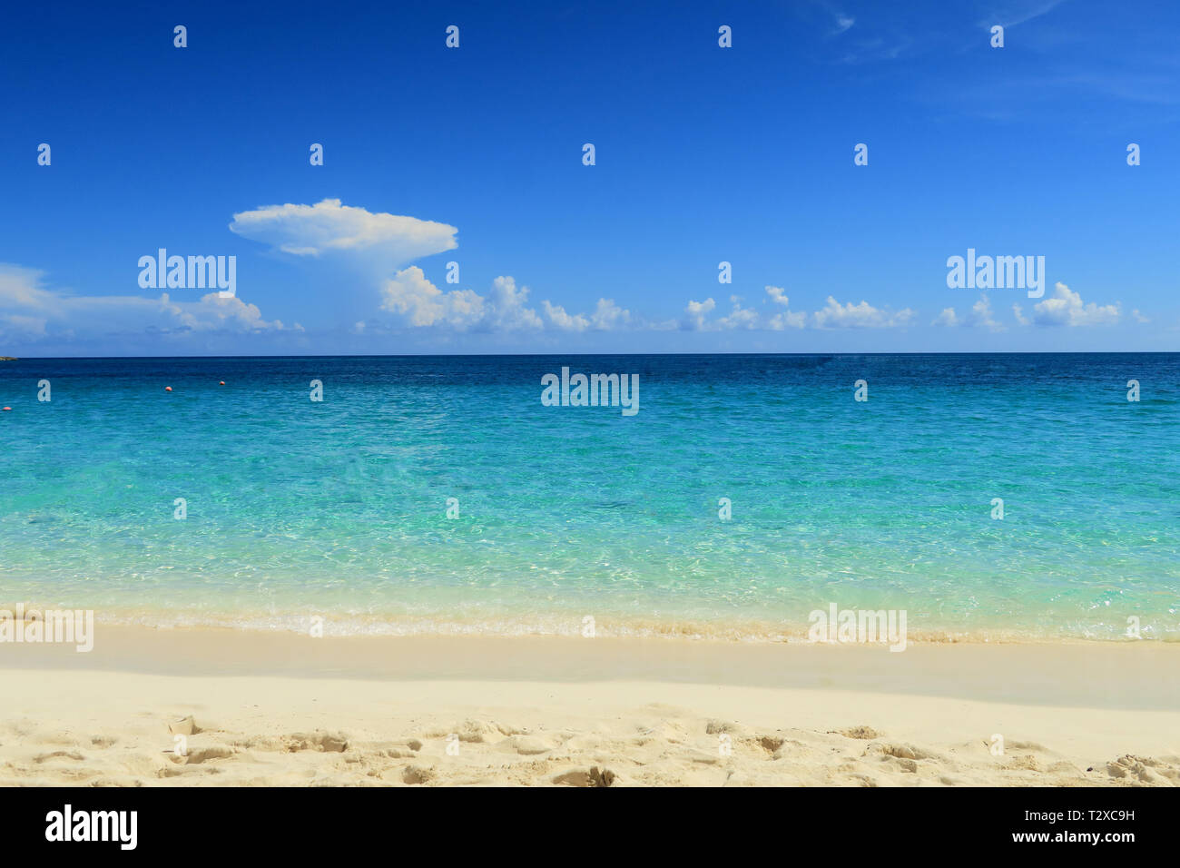 Golden Sand and blue ocean in the Bahamas Stock Photo - Alamy