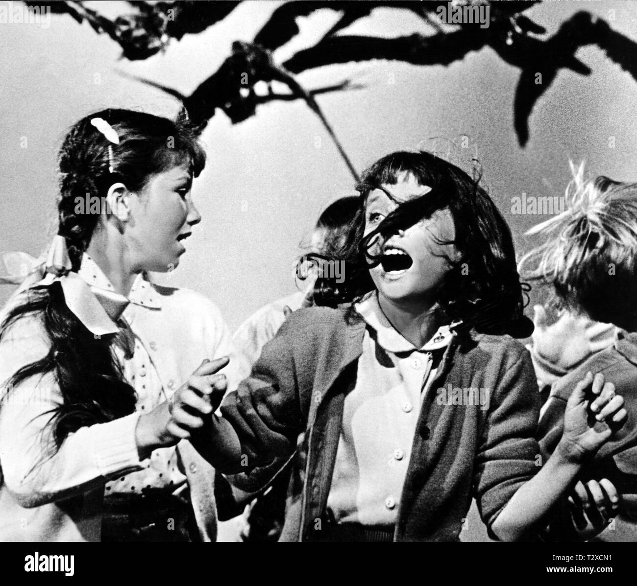 CHILDREN, BIRDS, THE BIRDS, 1963 Stock Photo - Alamy