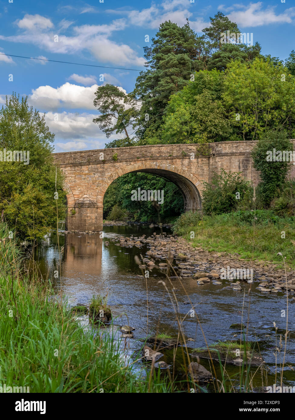 Durham river derwent hi-res stock photography and images - Alamy