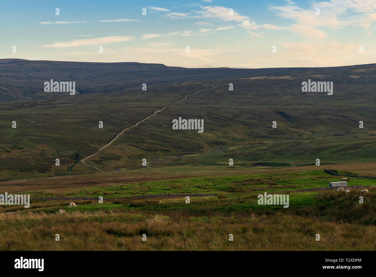 Cumbria landscape with some sheep, seen from the A686 between Alston ...