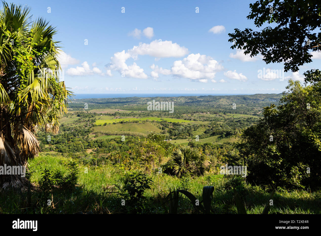 Caribbean scenery rainforest hi-res stock photography and images - Alamy