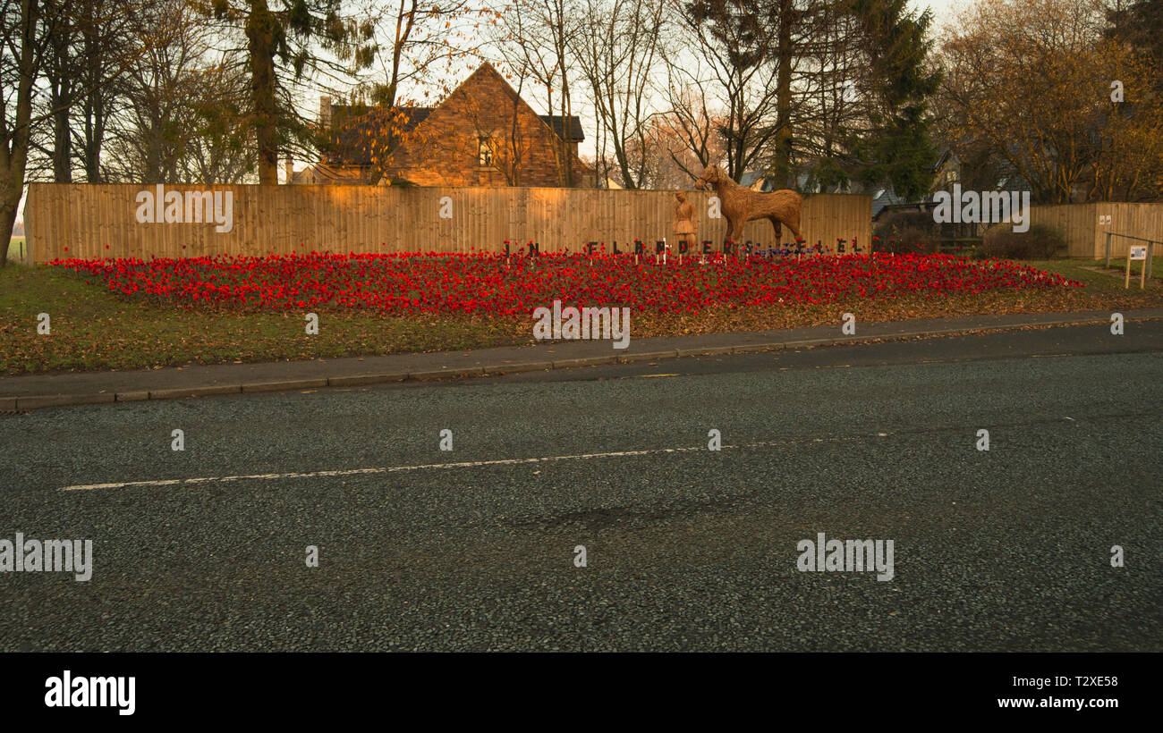 Centenary Remembrance day decorations, November 2018 Stock Photo - Alamy