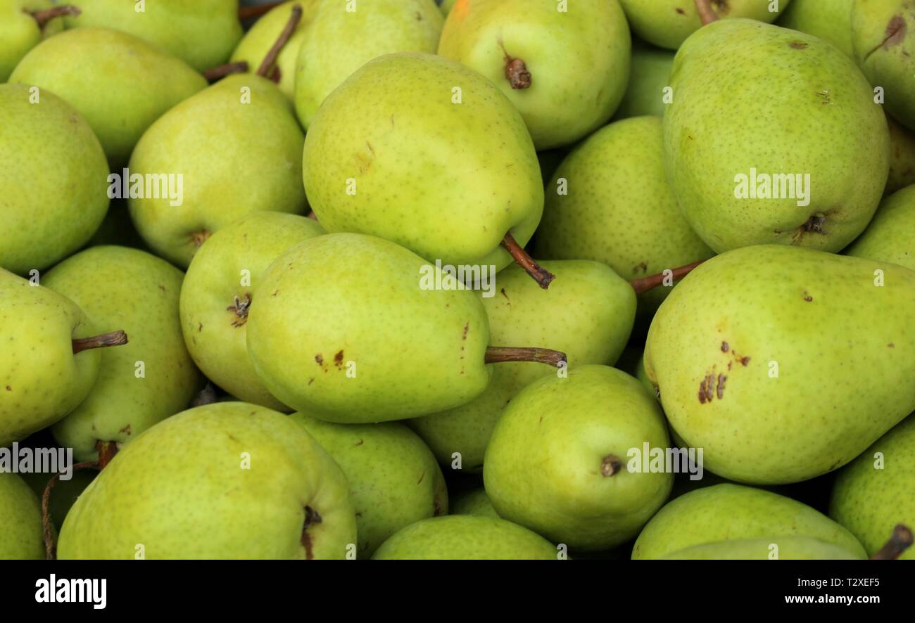 green pears background Stock Photo - Alamy