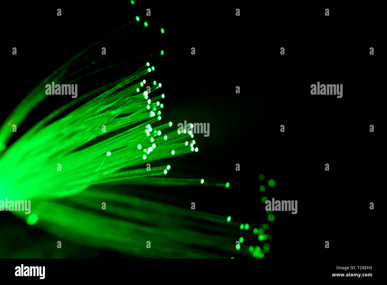 Fiber optics cable isolated on black background Stock Photo - Alamy