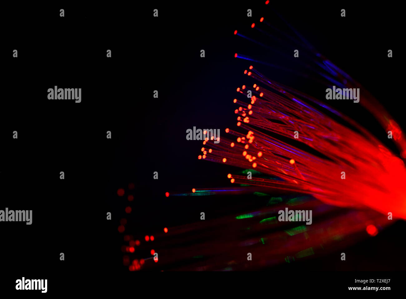 Fiber optics cable isolated on black background Stock Photo - Alamy
