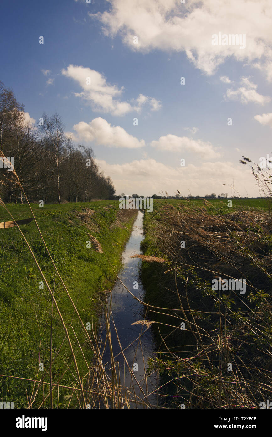 Dike field hi-res stock photography and images - Alamy