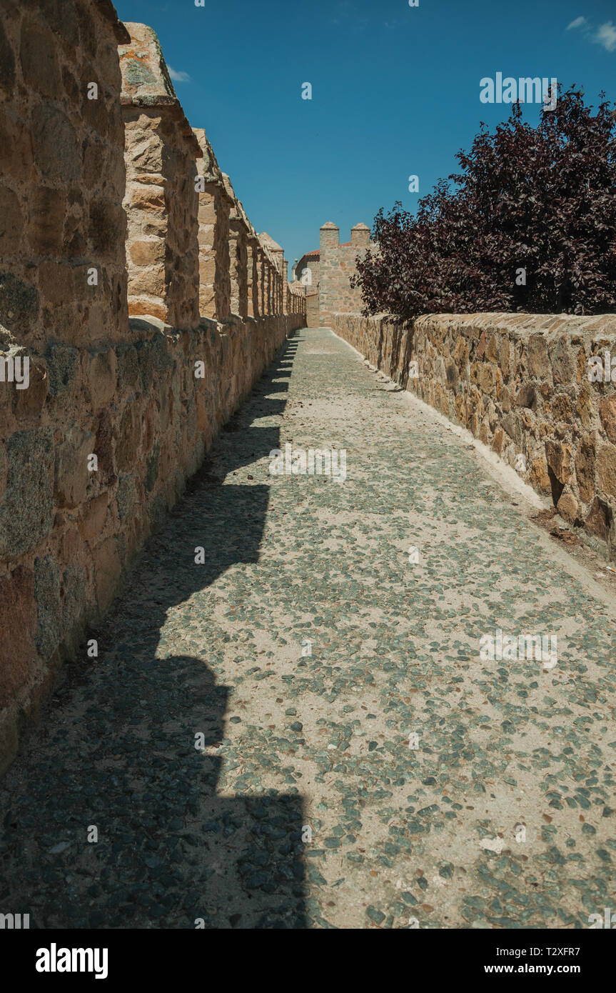 Gothic Parapet High Resolution Stock Photography and Images - Alamy