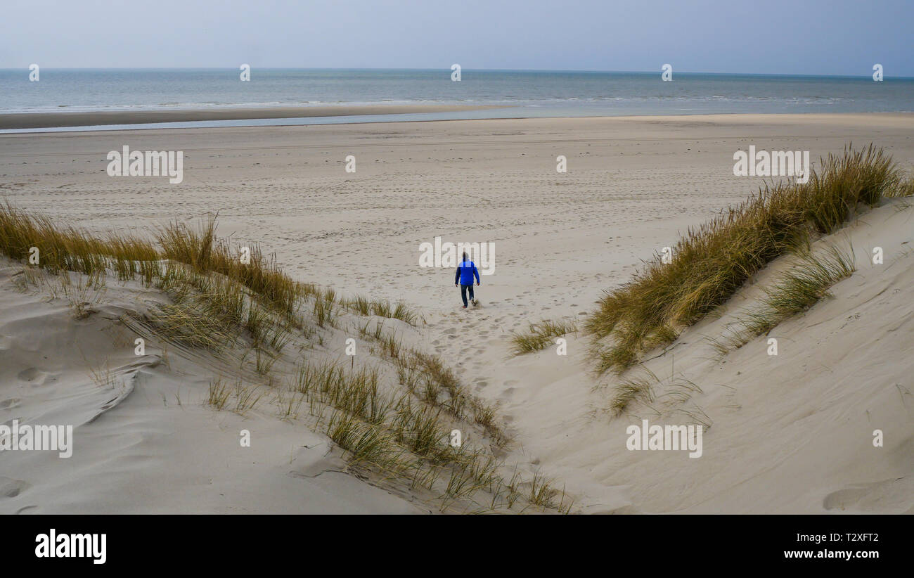 View of the sand beach, Berck, Hauts de France, France Stock Photo - Alamy