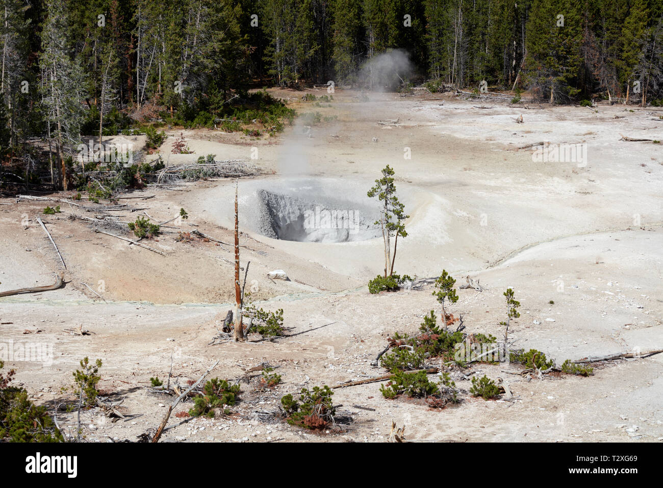 Fumarole sulphur hi-res stock photography and images - Alamy
