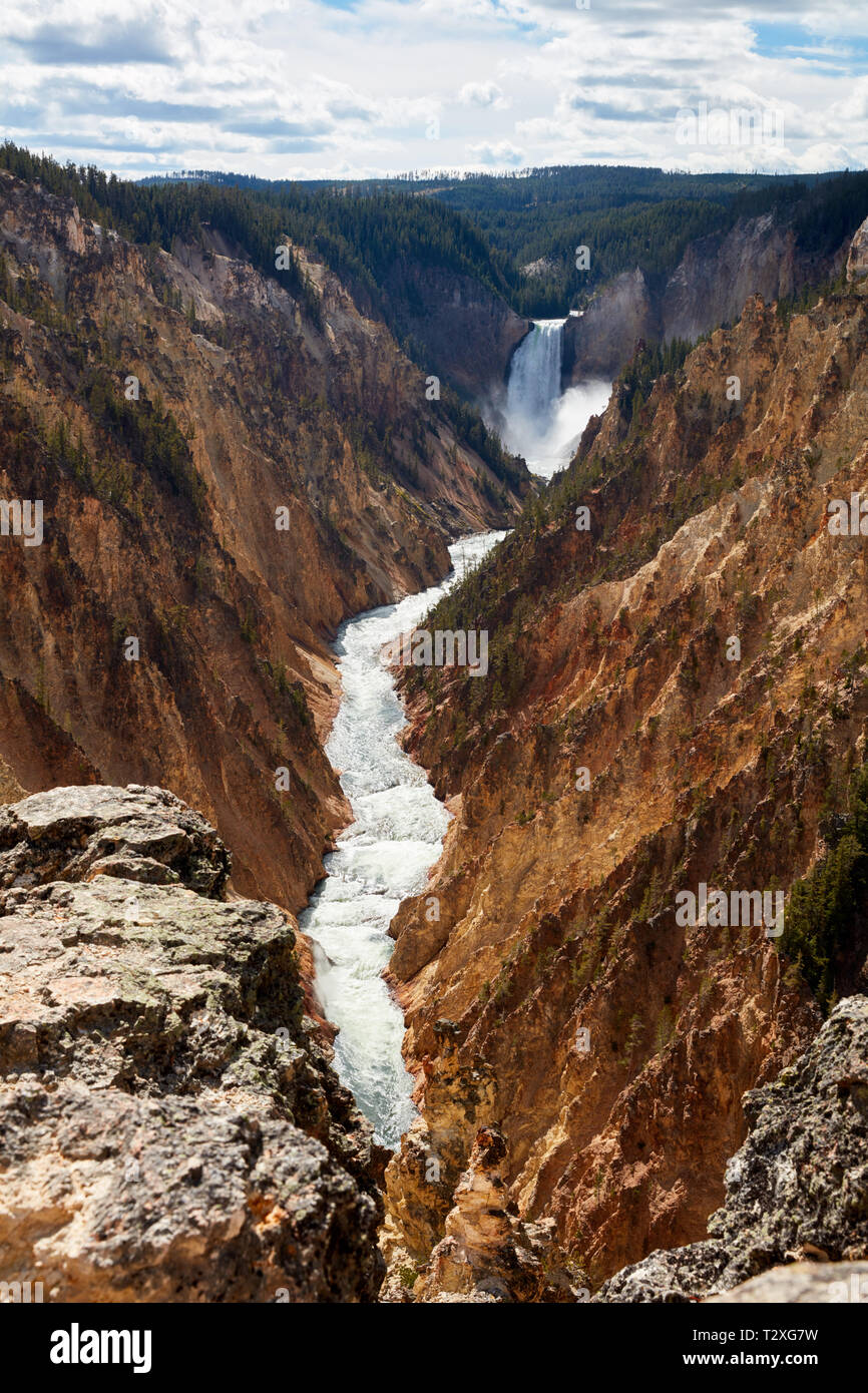Yellowstone River and lower falls, Yellowstone National Park Stock Photo - Alamy