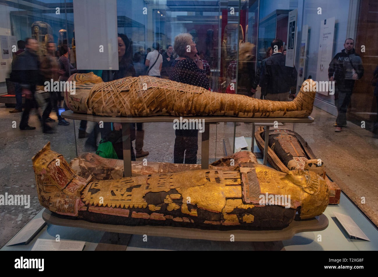 Egyptian mummies hi-res stock photography and images - Alamy
