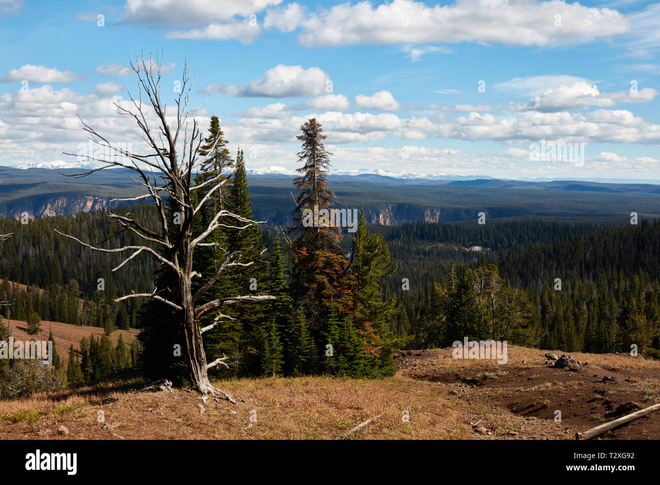 Dunraven pass hi-res stock photography and images - Alamy