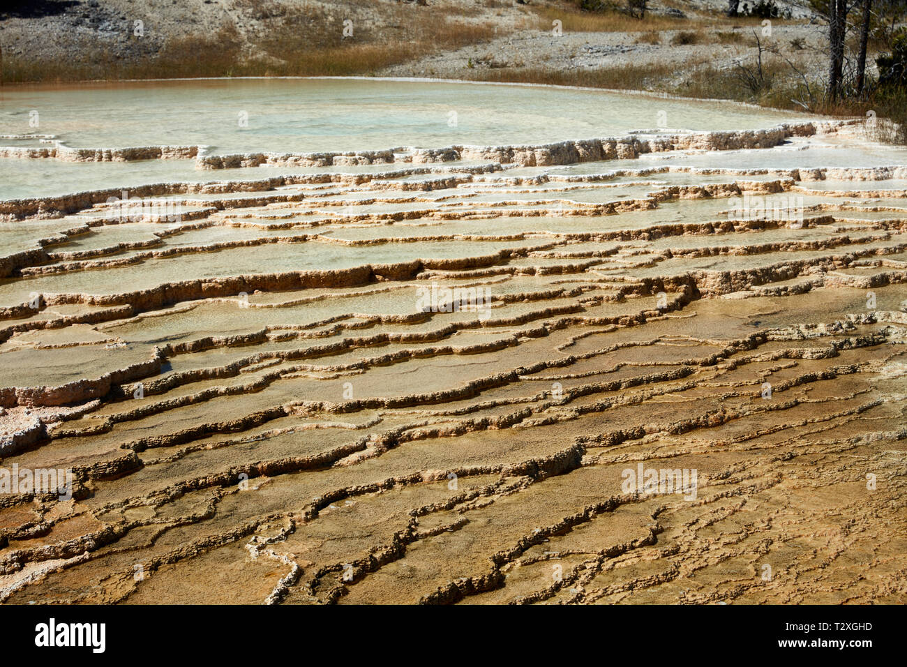 Layers of mineral deposits at Mammoth Hot Springs in Yellowstone ...