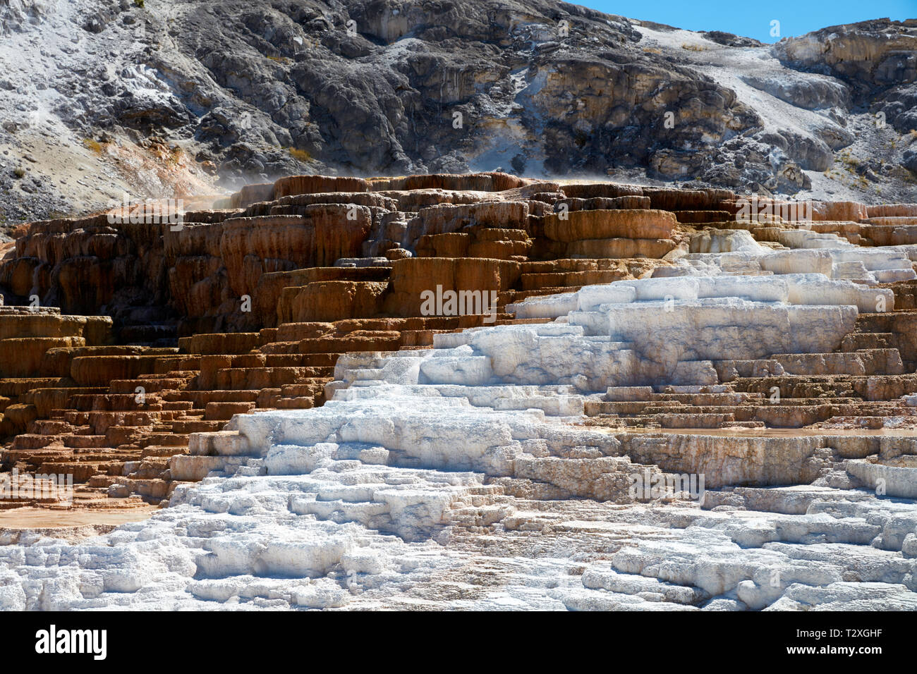 Yellowstone hot springs terraces hi-res stock photography and images ...