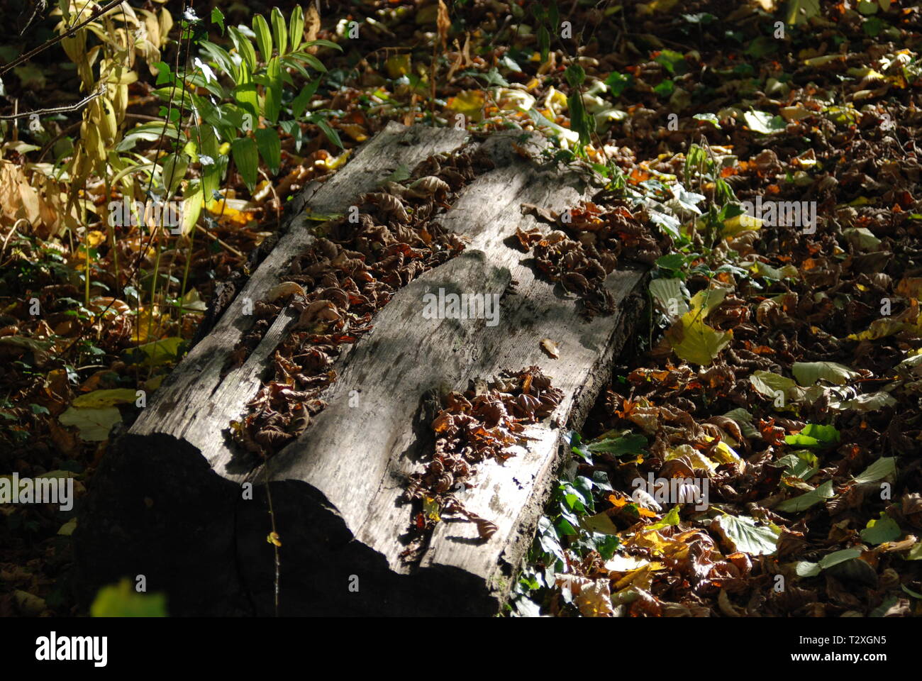 Multiple stepped hi-res stock photography and images - Alamy