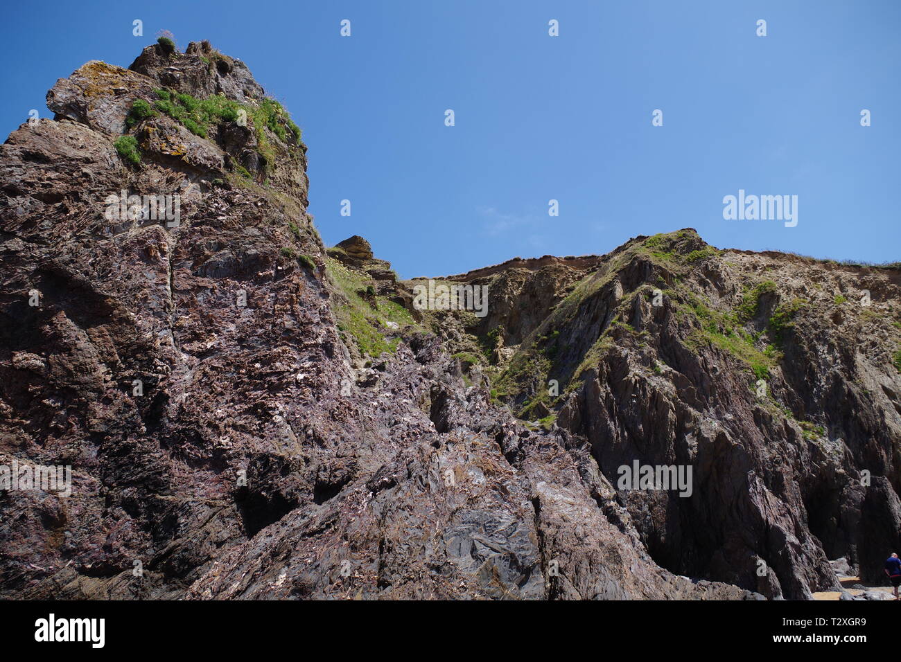 Slate Sea Stack at Woolman Point, Hope Cove, South Devon, UK Stock ...
