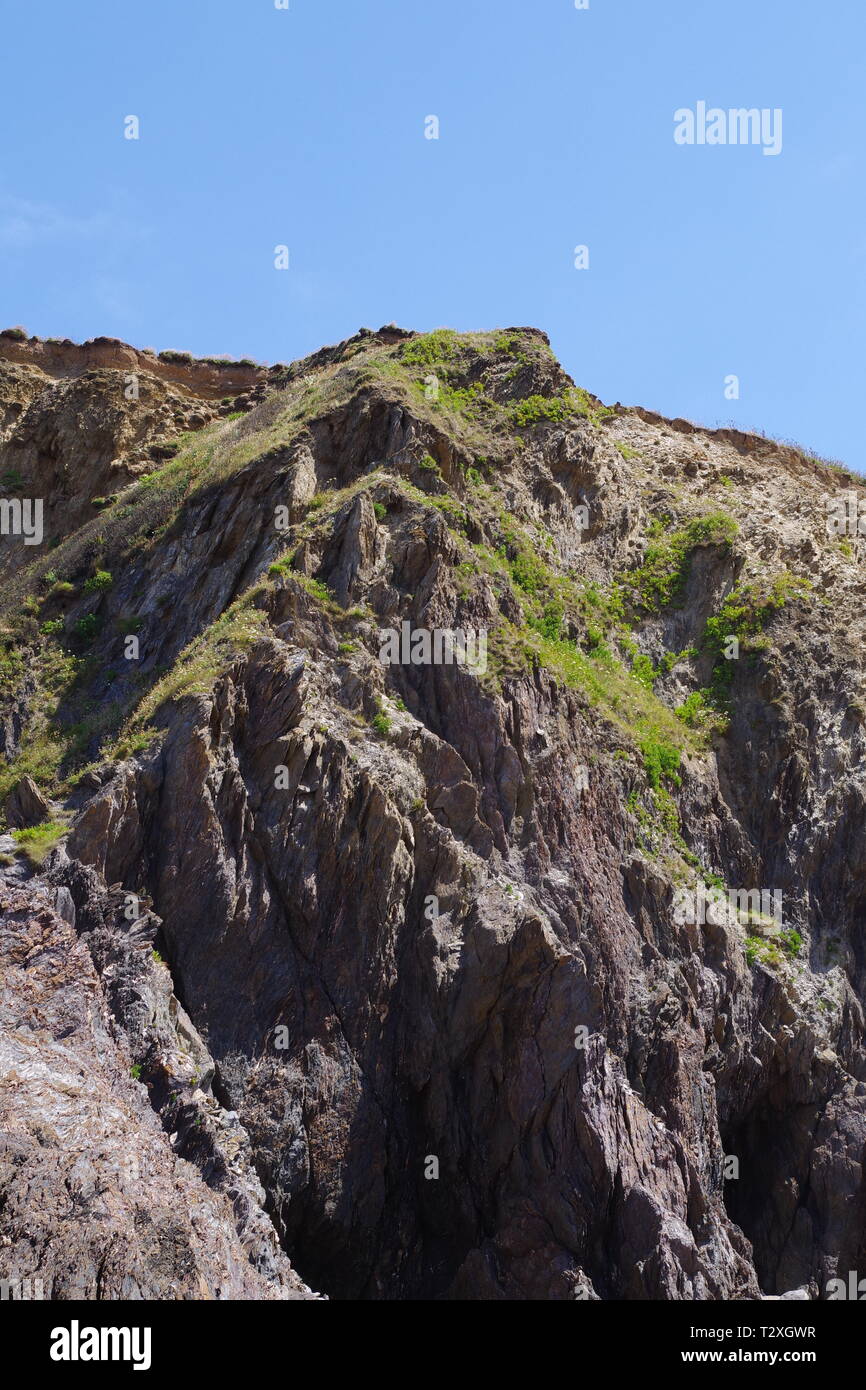 Rugged Slate Sea Cliff by Woolmans Point, Hope Cove, South Devon, UK ...