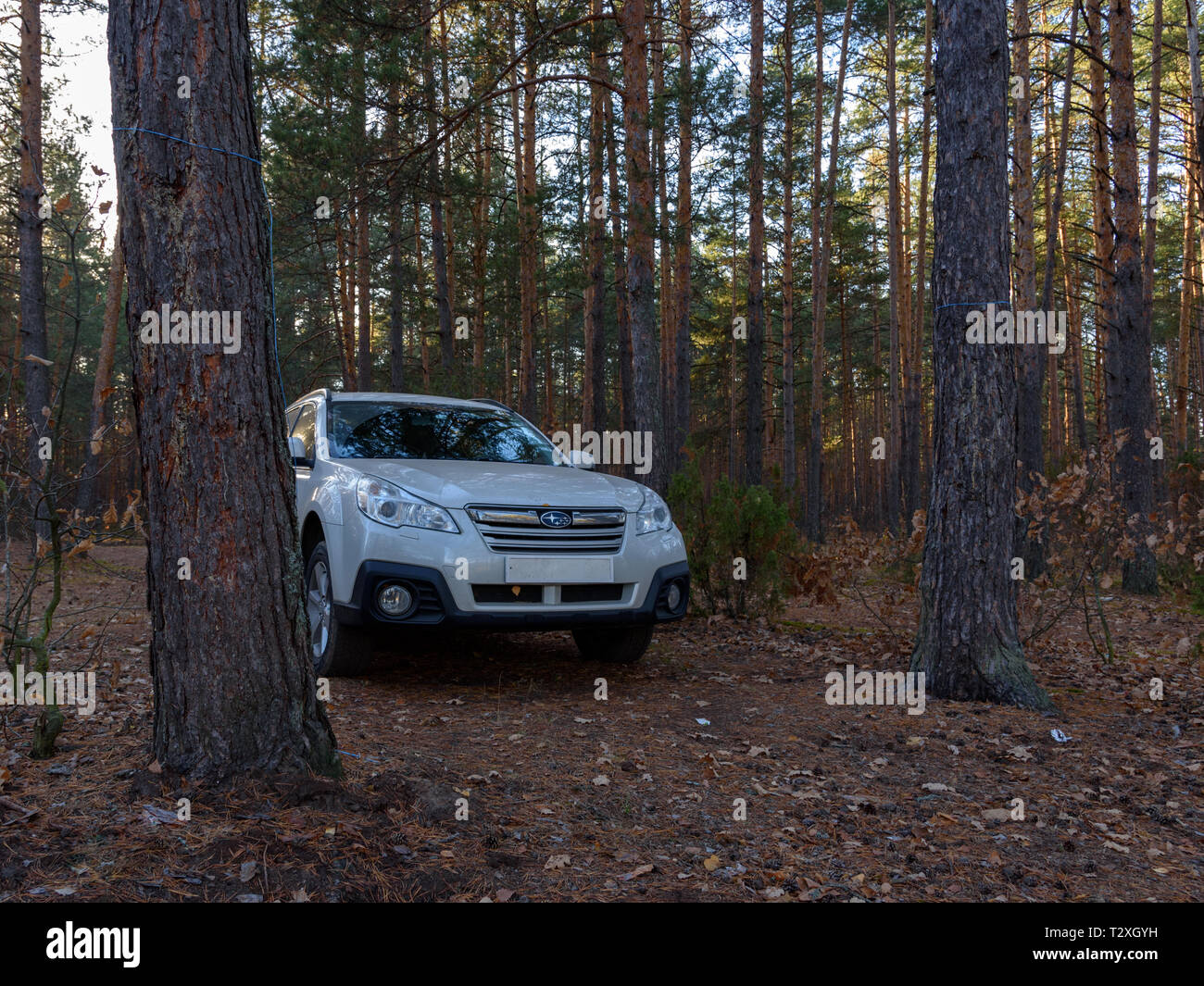 Subaru outback hi-res stock photography and images - Alamy