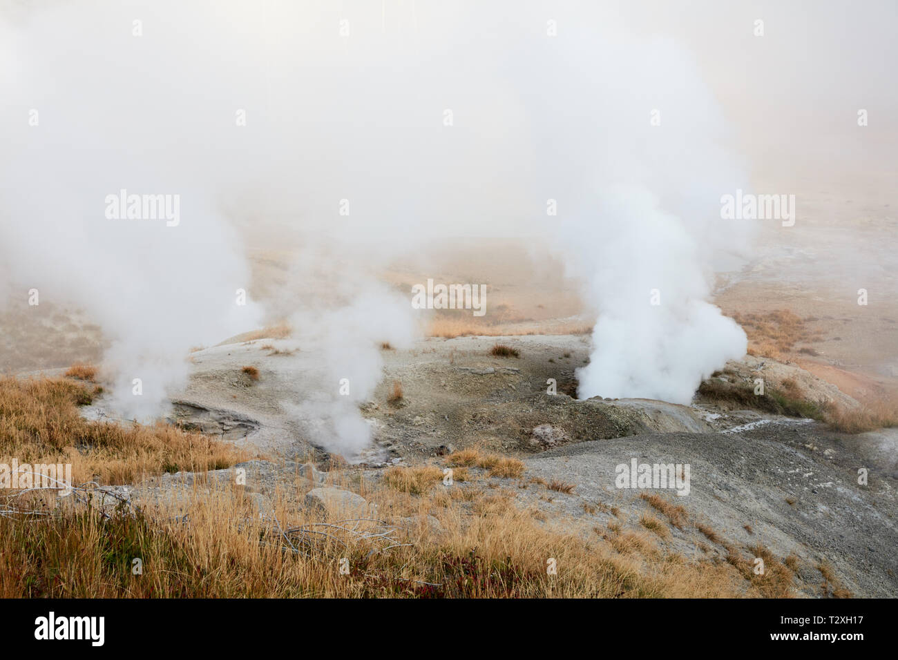 Fumaroles yellowstone hi-res stock photography and images - Alamy