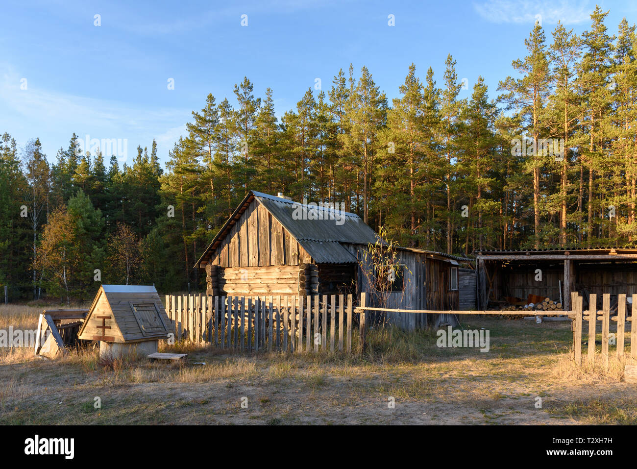 Wooden barn in the country house in forest. Russia Stock Photo - Alamy