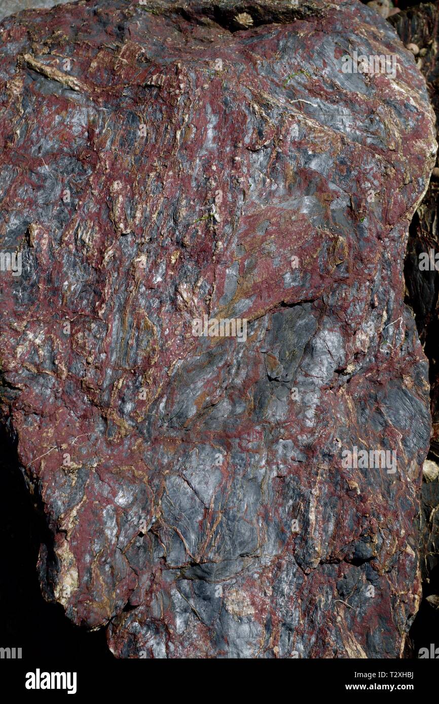 Hope cove devon slate hi-res stock photography and images - Alamy