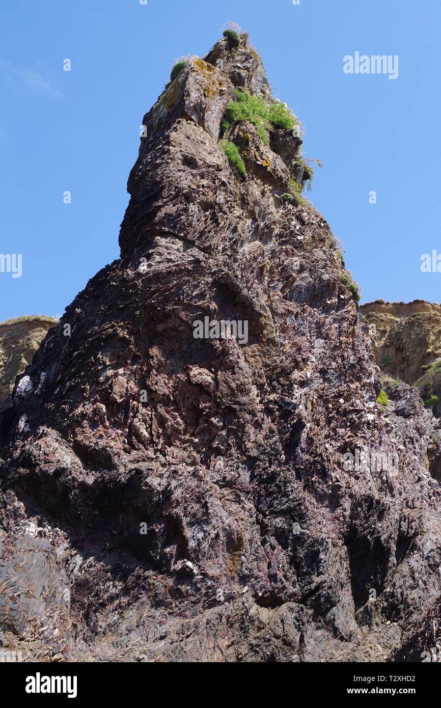 Slate Sea Stack at Woolman Point, Hope Cove, South Devon, UK Stock ...