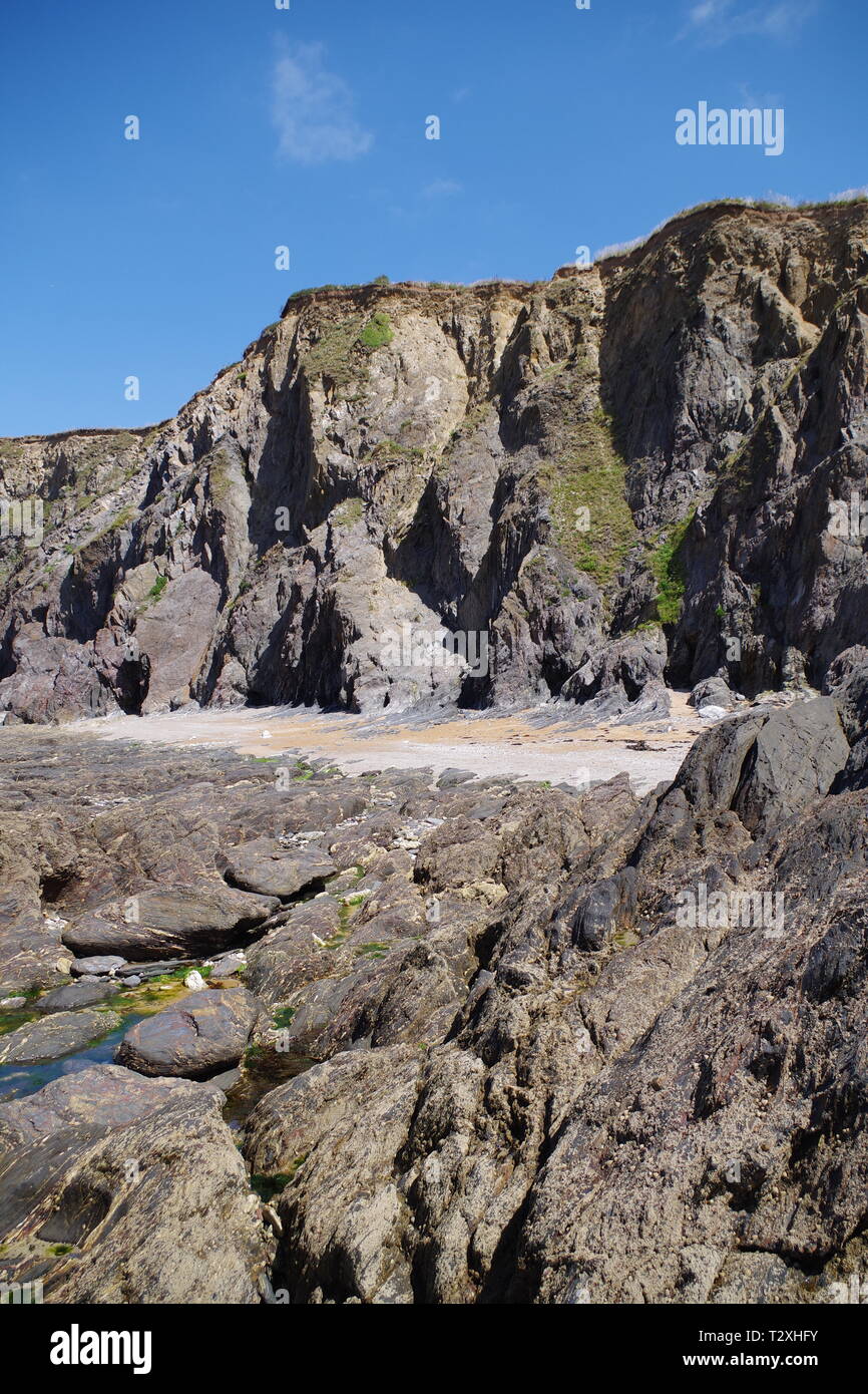 Rugged Slate Sea Cliff by Woolmans Point, Hope Cove, South Devon, UK ...