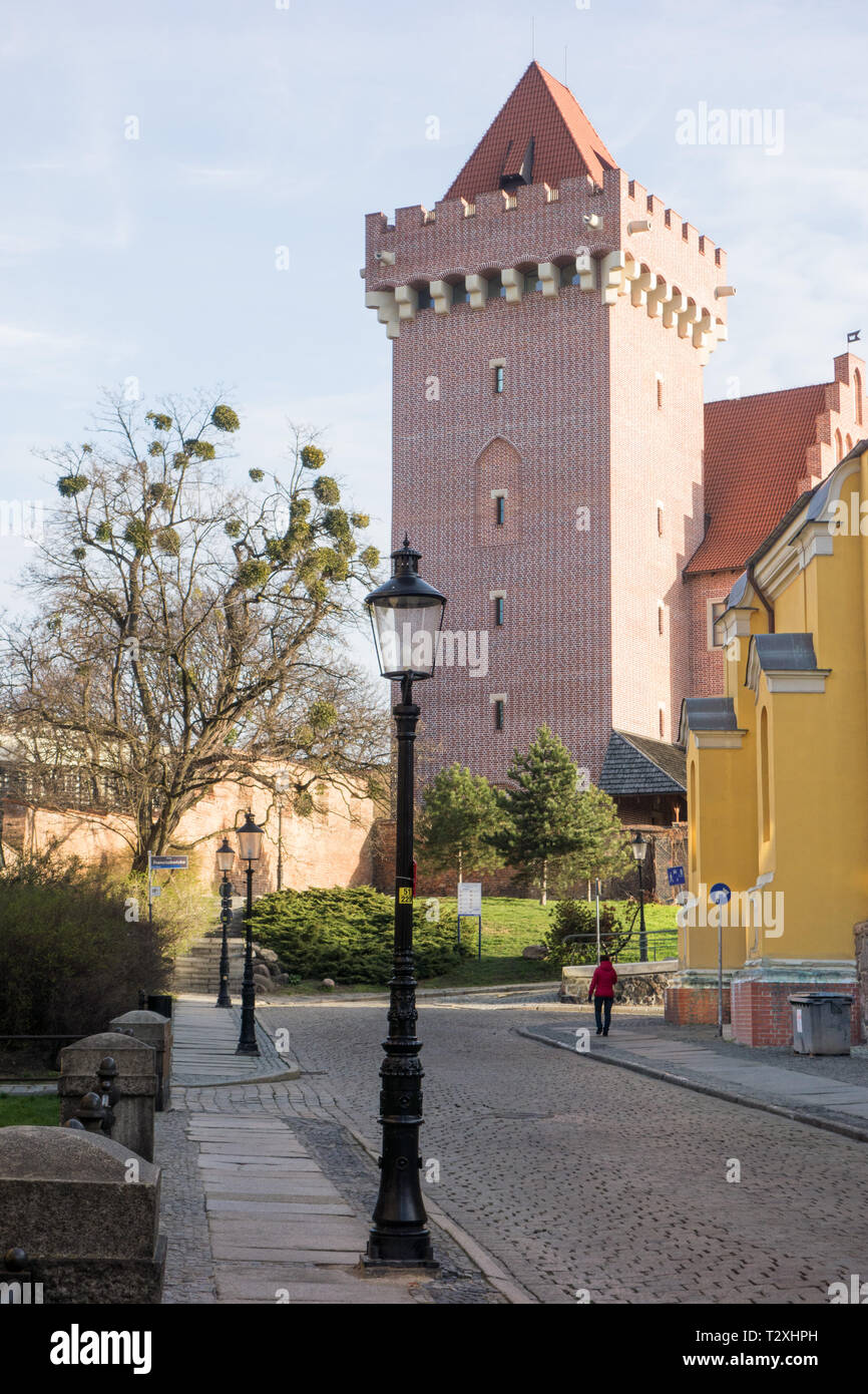The Royal Castle in the old town of the Polish city of Poznan Poland ...