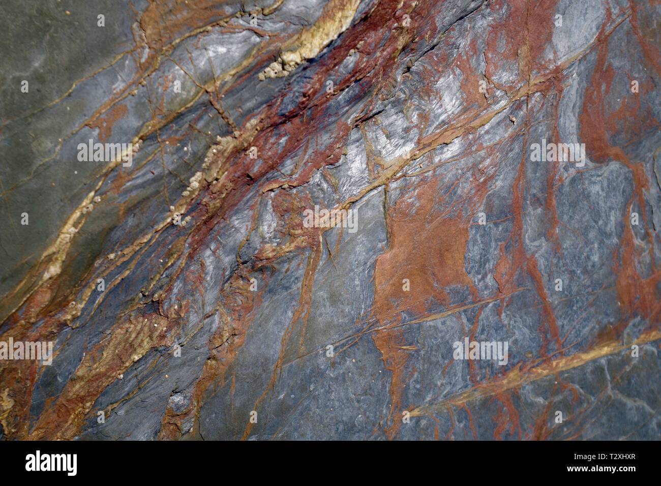 Hope cove devon slate hi-res stock photography and images - Alamy