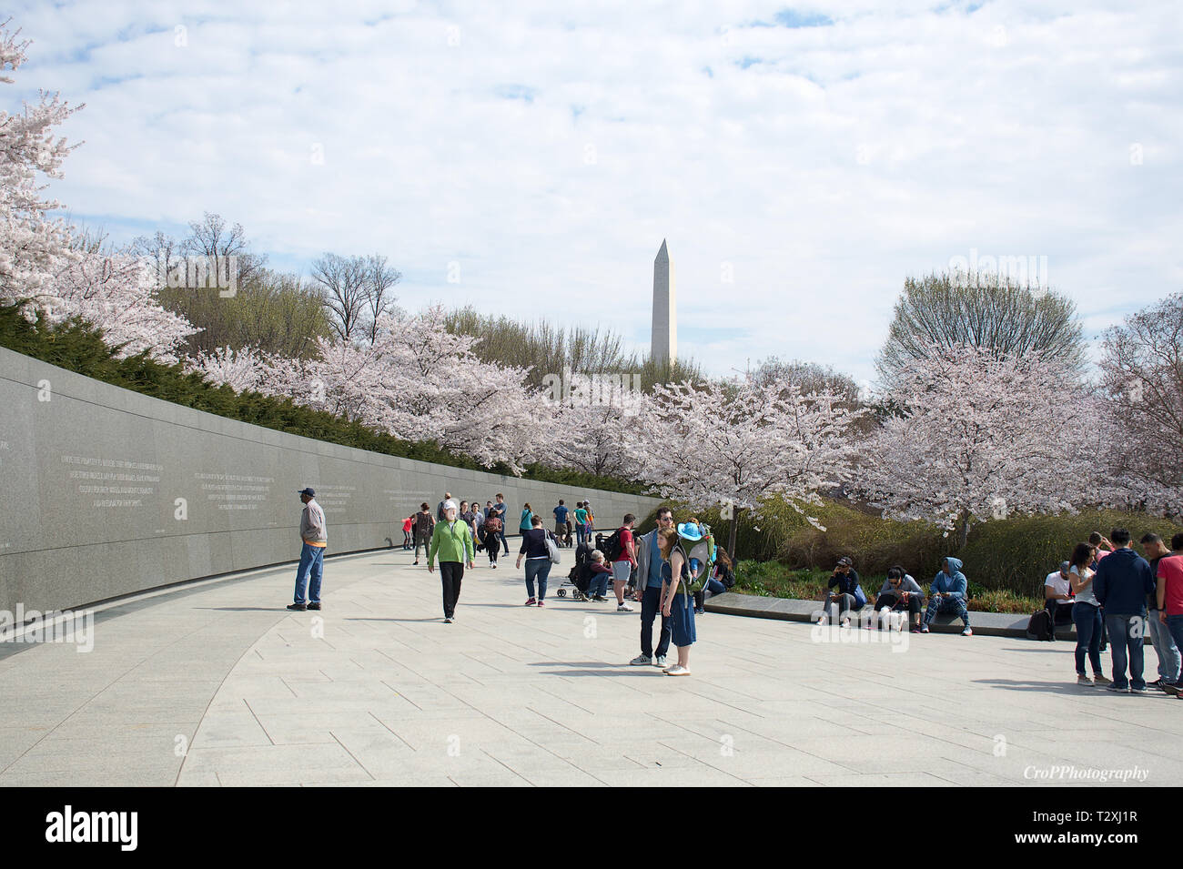 Inscription wall at MLK Memorial with Cherry Blossom trees and ...
