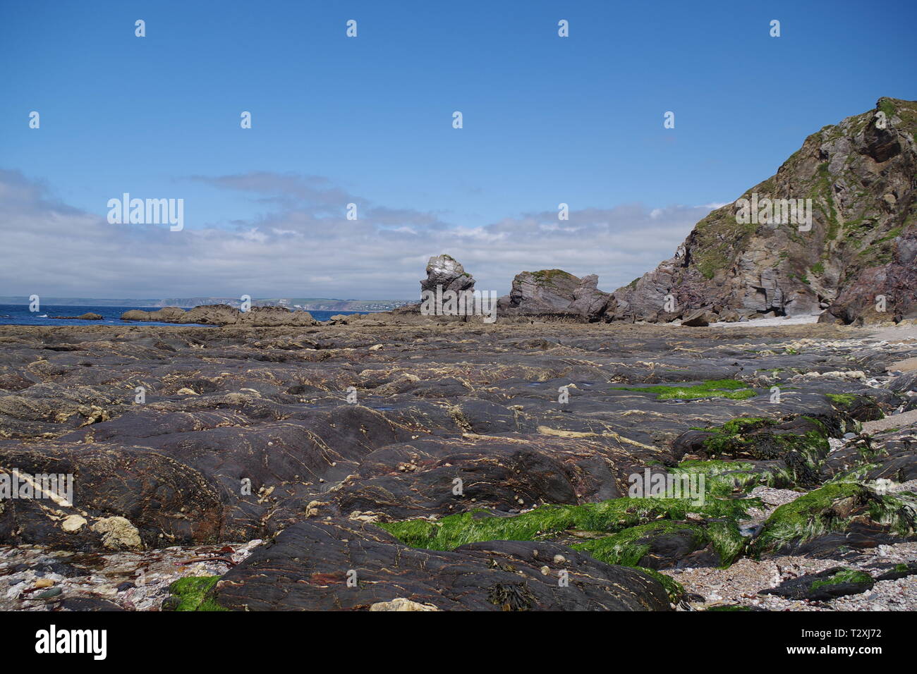 Slate Sea Stack at Woolman Point, Hope Cove, South Devon, UK Stock ...