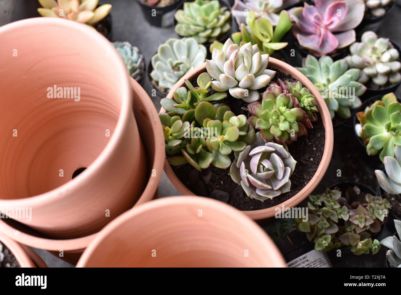Plantingbed hi-res stock photography and images - Alamy