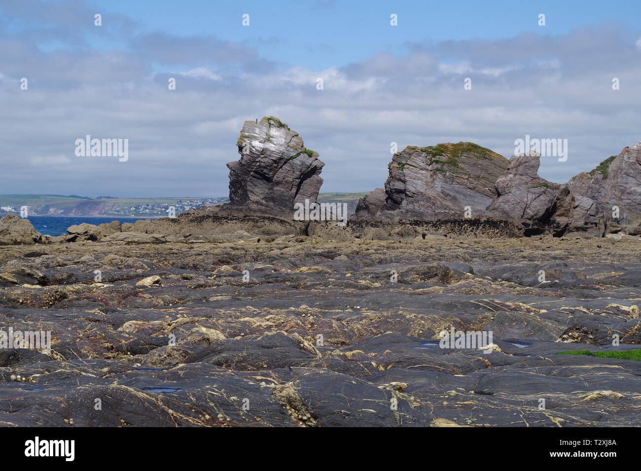 Slate Sea Stack at Woolman Point, Hope Cove, South Devon, UK Stock ...