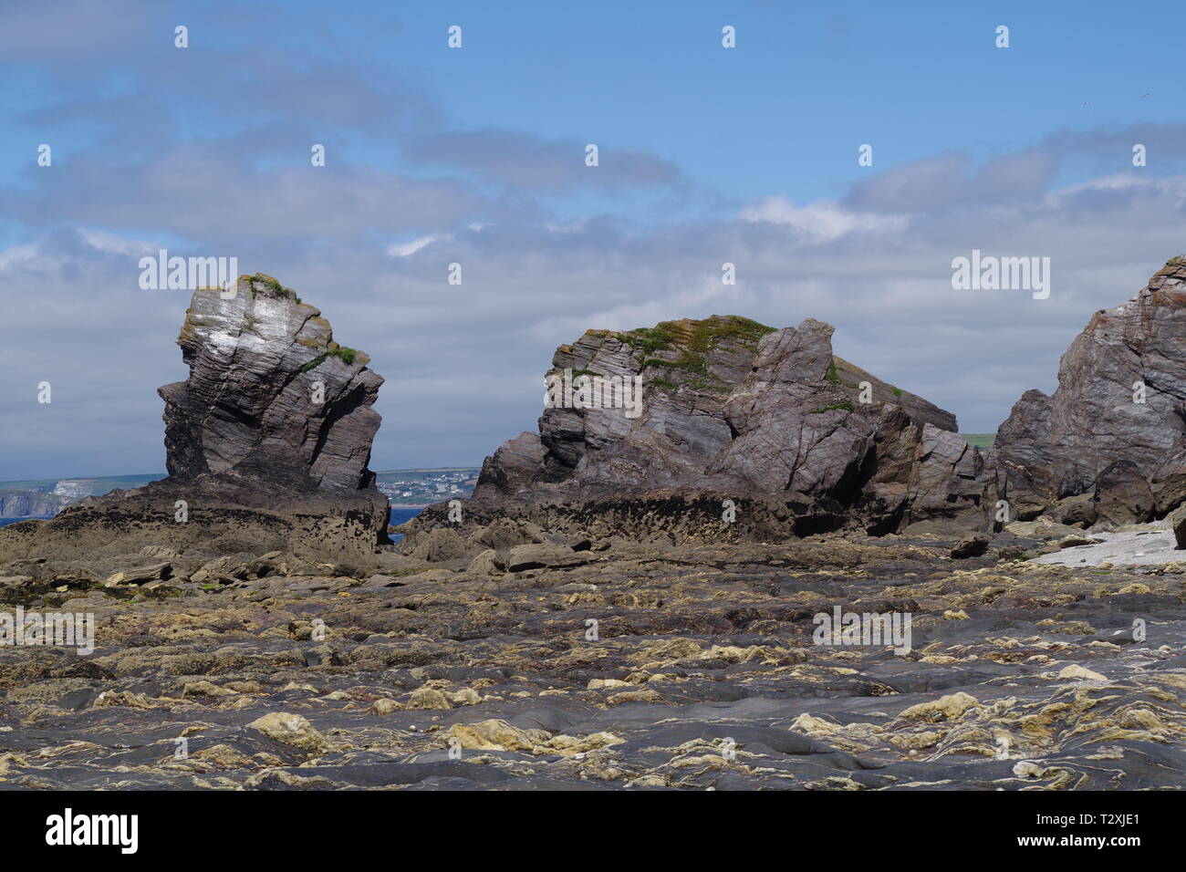Slate Sea Stack at Woolman Point, Hope Cove, South Devon, UK Stock ...