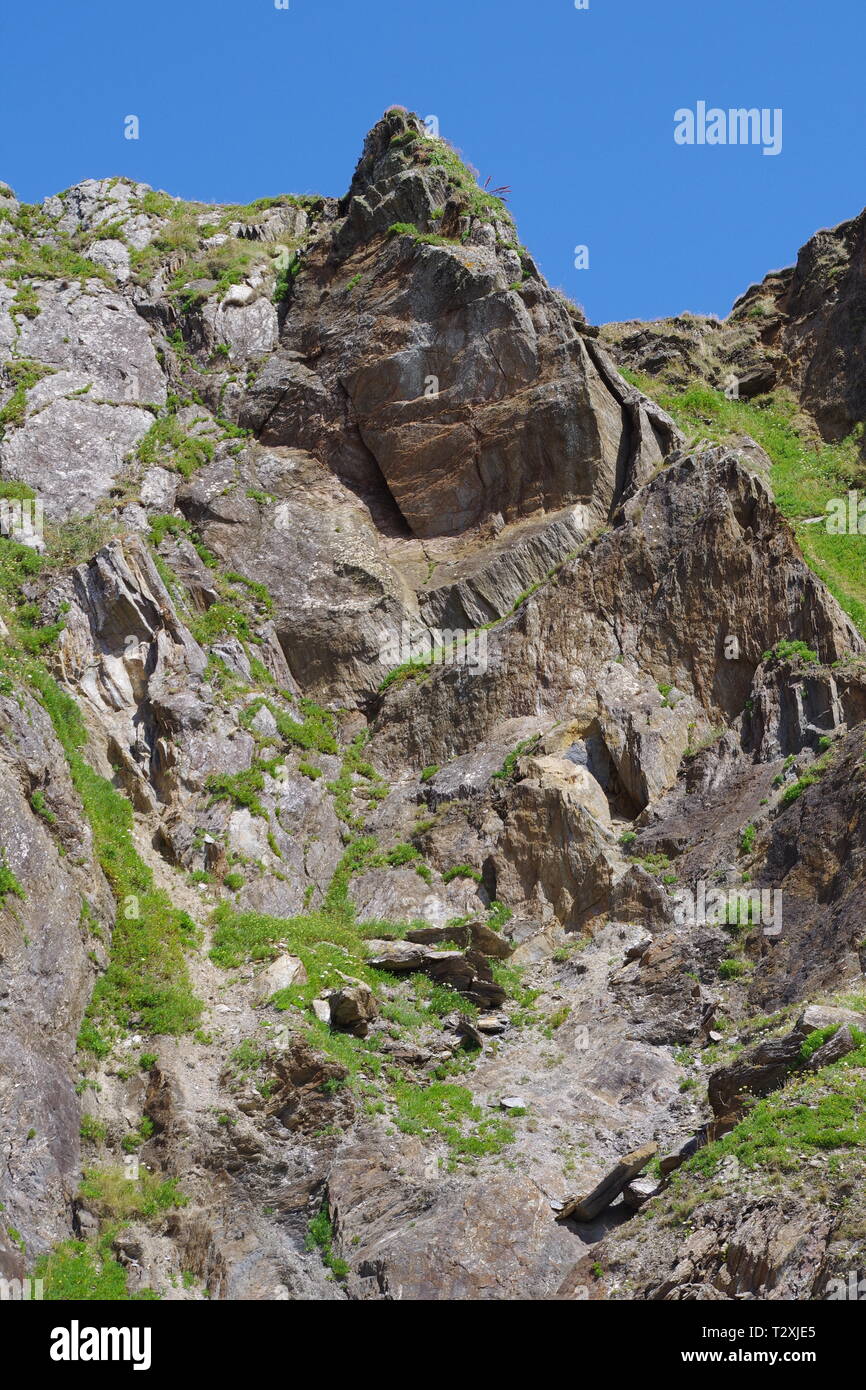 Rugged Slate Sea Cliff by Woolmans Point, Hope Cove, South Devon, UK ...
