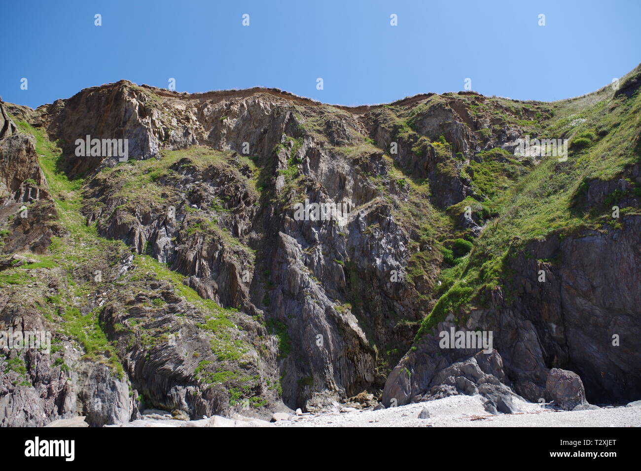 Rugged Slate Sea Cliff by Woolmans Point, Hope Cove, South Devon, UK ...
