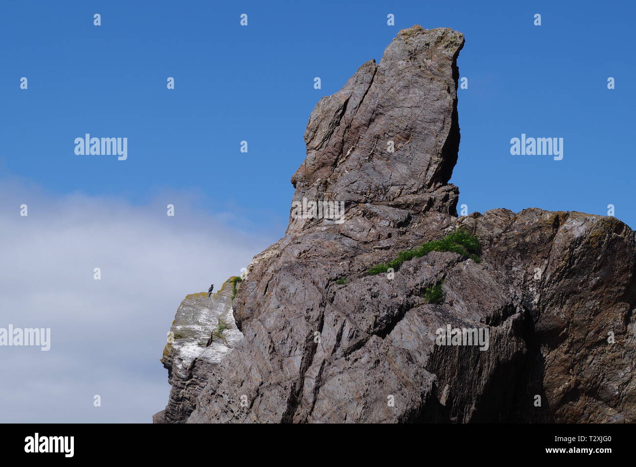 Slate Sea Stack at Woolman Point, Hope Cove, South Devon, UK Stock ...