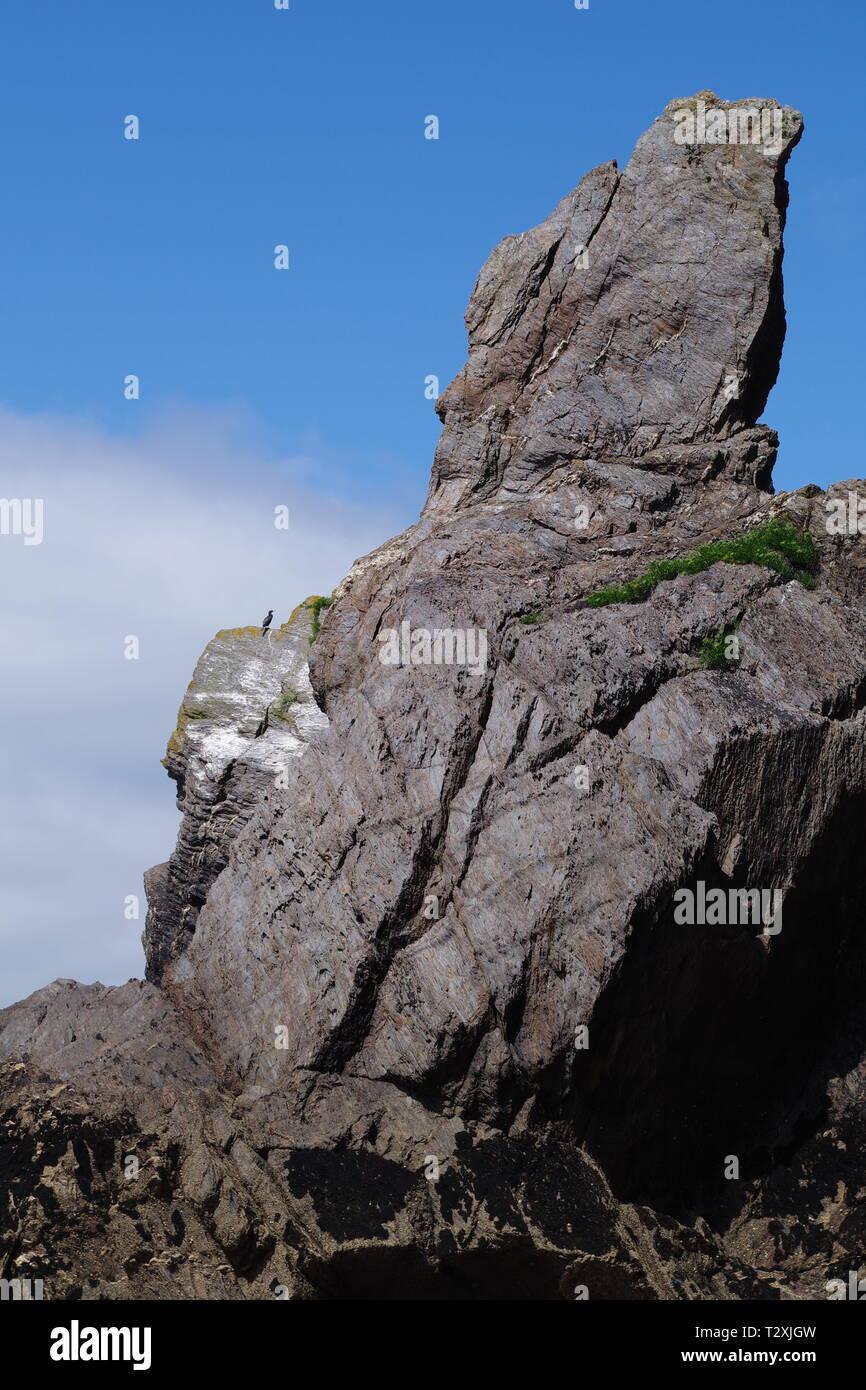 Slate Sea Stack at Woolman Point, Hope Cove, South Devon, UK Stock ...