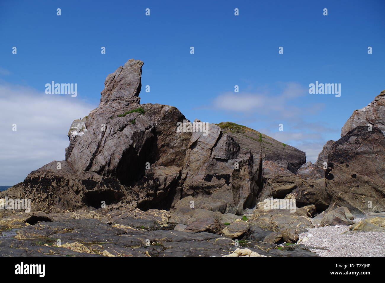 Slate Sea Stack at Woolman Point, Hope Cove, South Devon, UK Stock ...