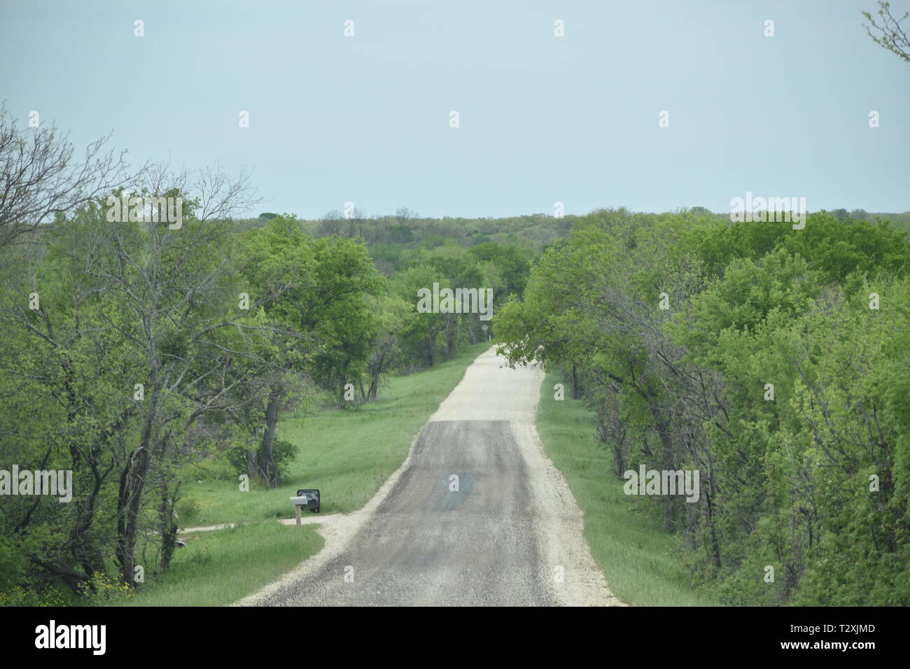 Cotton farming texas ranch hi-res stock photography and images - Alamy
